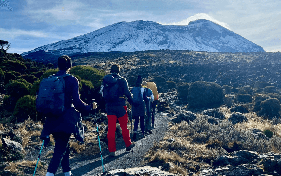 Trekking: uma jornada na natureza → Strike Tours